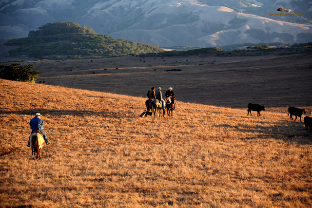 Historic Hearst Ranch A Step Back into the 1860s