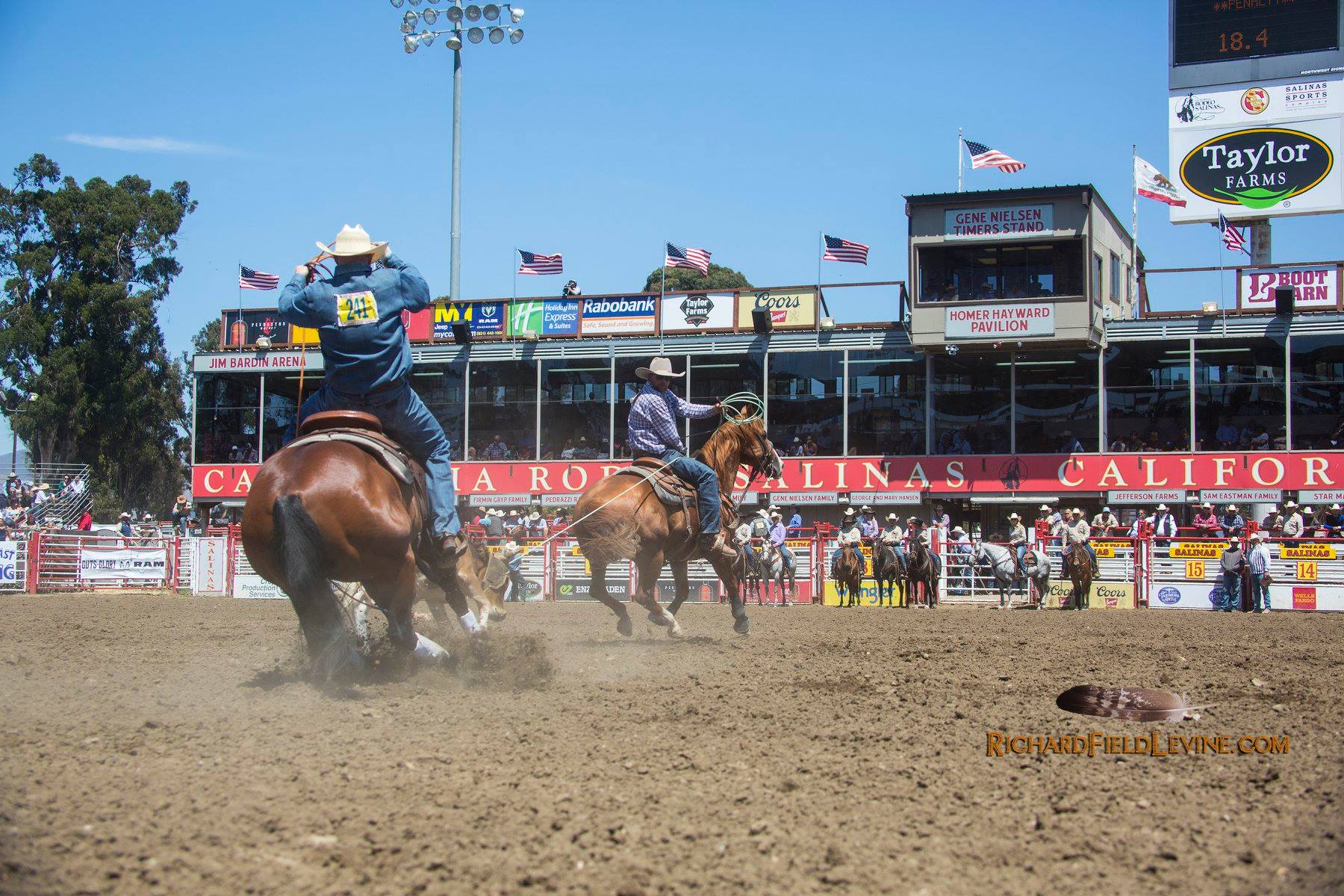 Century Roping - Team Roing with a Hundred Year Twist