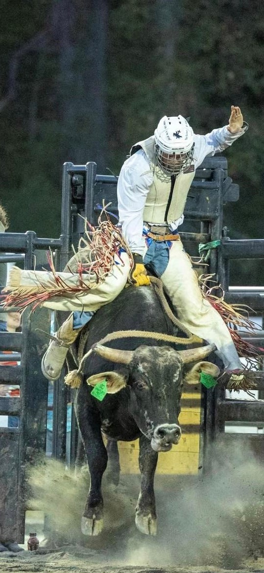 BC Cattle Never Imagined Dream Alexa and Brandon Chambers